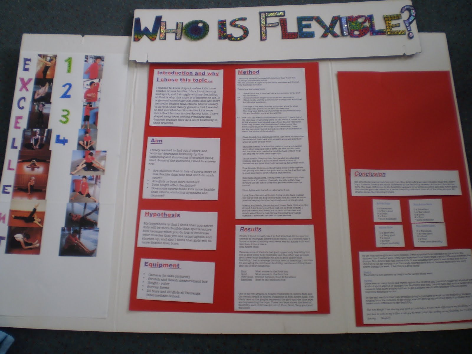 Room 29 Tauranga Intermediate: Science projects