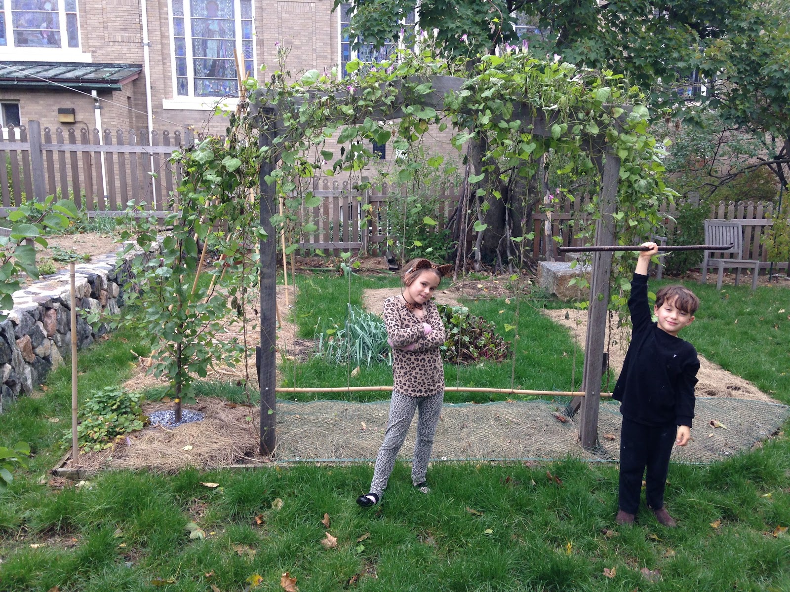 Tooling Up: Urban Micro-Orchard Year 3