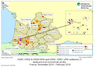 Avian Flu Diary: DEFRA: Updated Assessment On France's HPAI/LPAI Outbreak