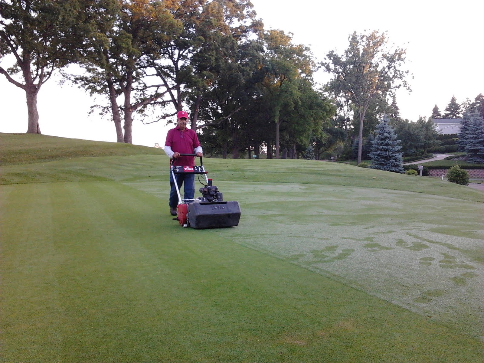Forest Lake Country Club: Walk Mowing Greens