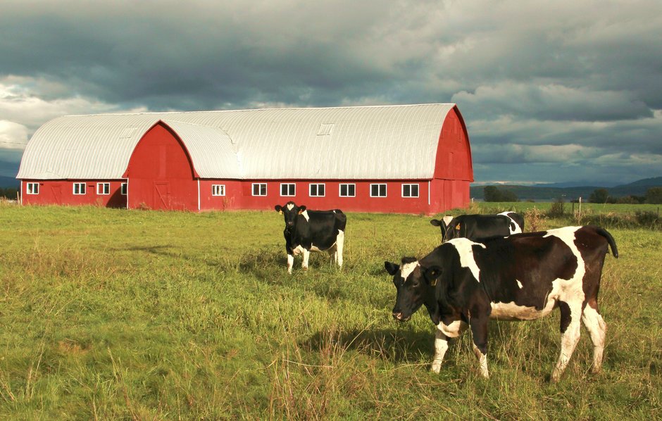 Hibiscus House: True Farmhouse Memories