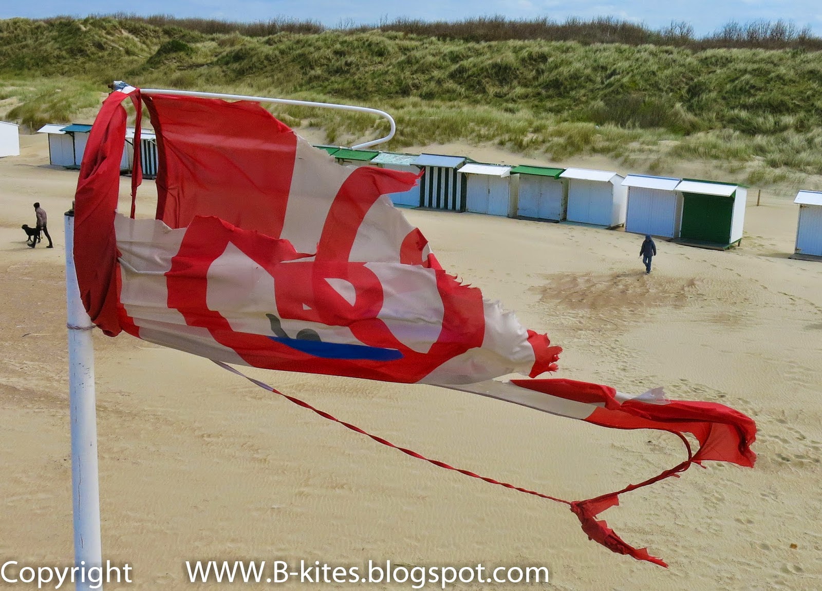 B-kites: surfingelephant KAP III