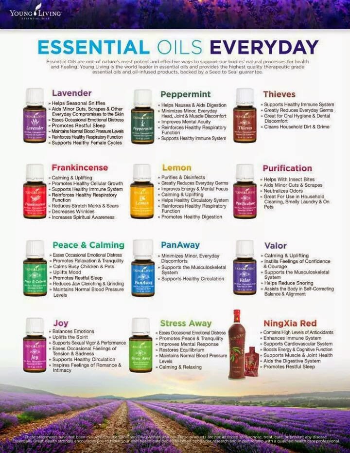 YLEO ~ Premium Kit Oils