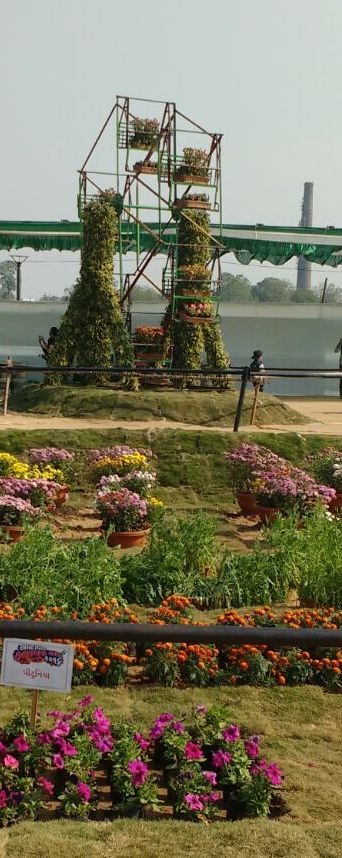 Flower Show 2016 Ahmedabad - Green Ahmedabad: