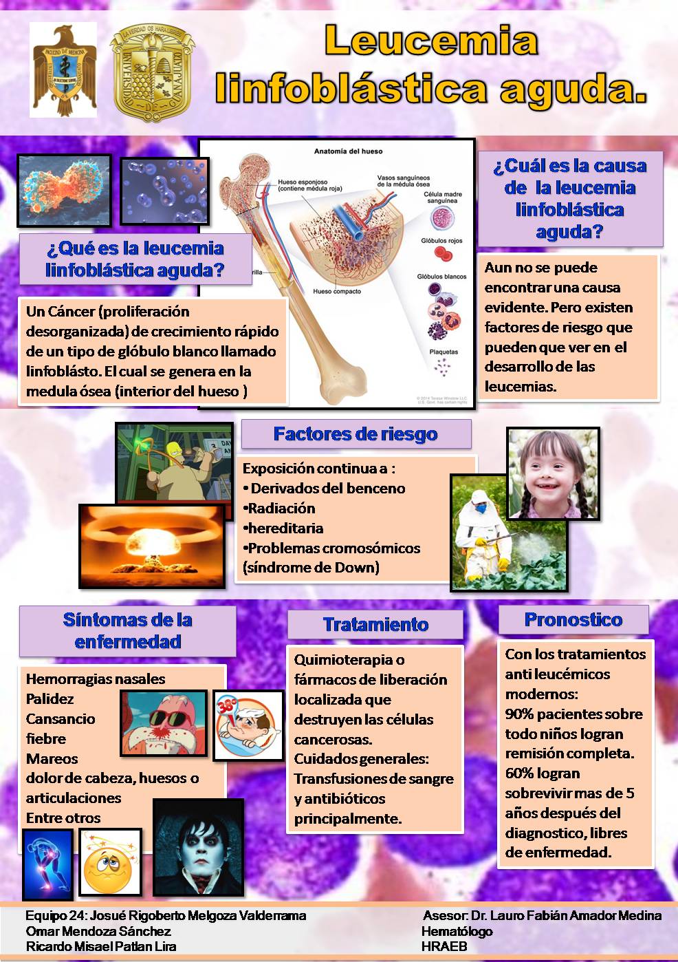 DIVULGACIÓN CIENTÍFICA UG: Leucemia Linfoblástica Aguda