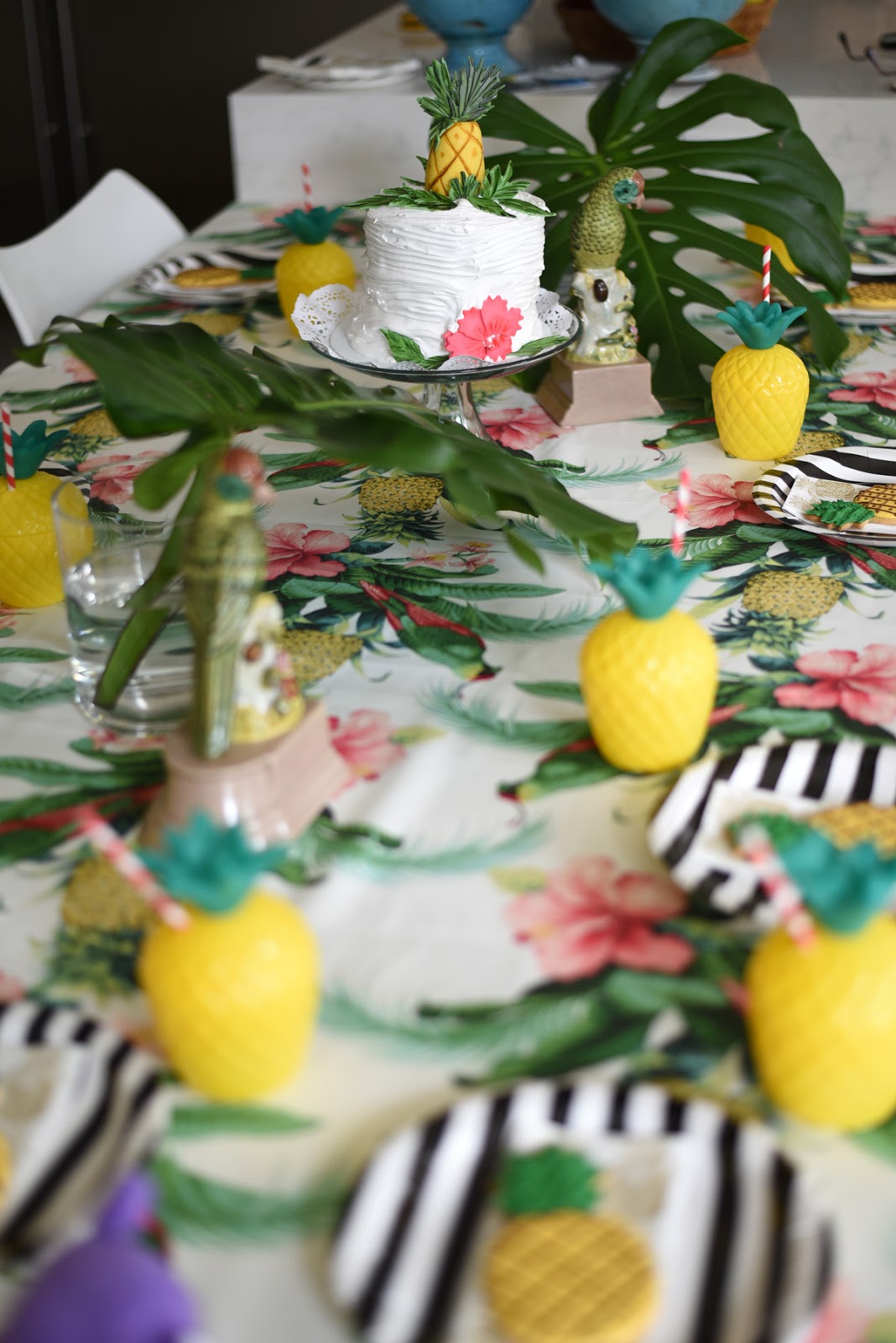 Pineapple Birthday Party Decorations