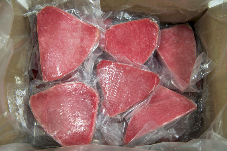 Tuna Fish Frozen versus Fresh Fish - Frozen Tuna Fish, Frozen Tuna Loin ...