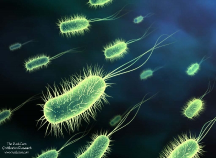 අසිරිමත් සිත: කුණ්ඩලනී ශක්තිය. (කුණ්ඩල යෝණි ශක්තිය.) ( 01 කොටස)