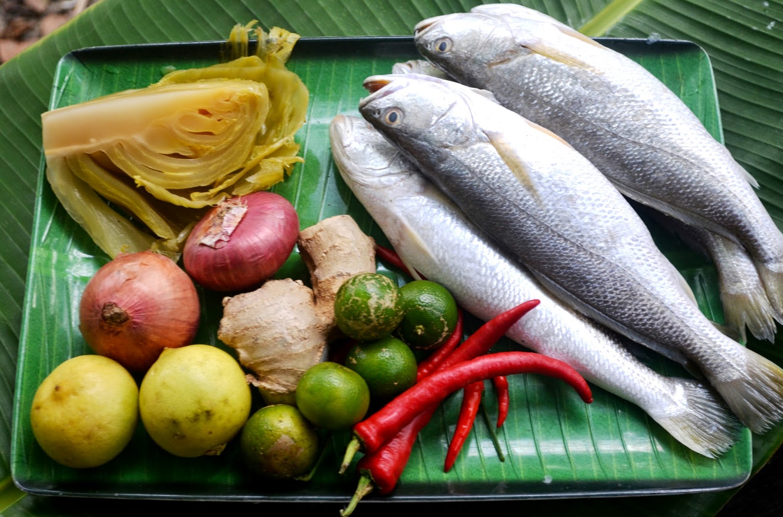 The Kambatik Park, Bintulu.: Raw fish for dinner