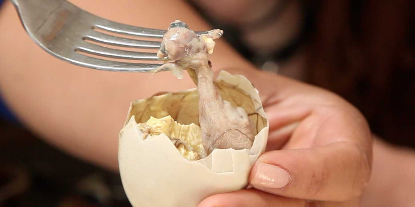 News Updates: Balut gets spotlight in New York