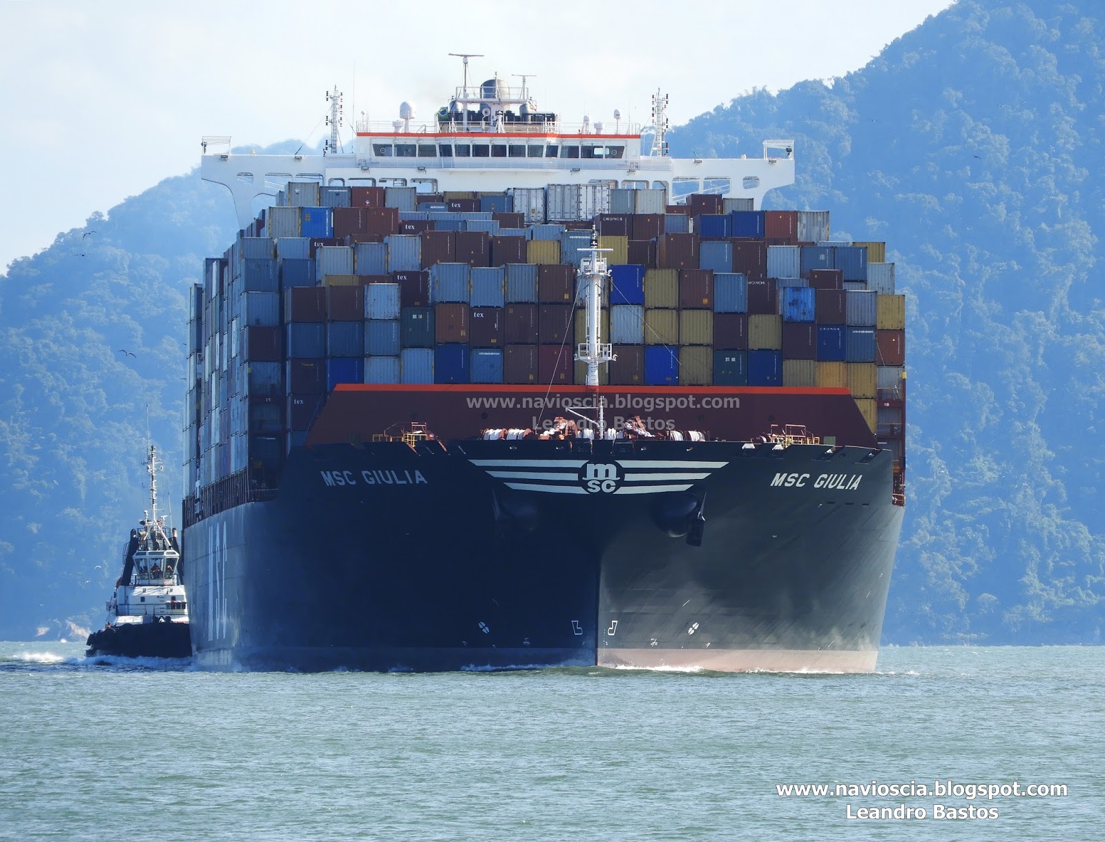 Navios de Santos & CIA: Navio MSC GIULIA