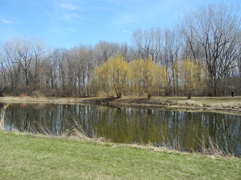Love me less, but love me longer: Plan d'eau du parc Angrignon de Montréal