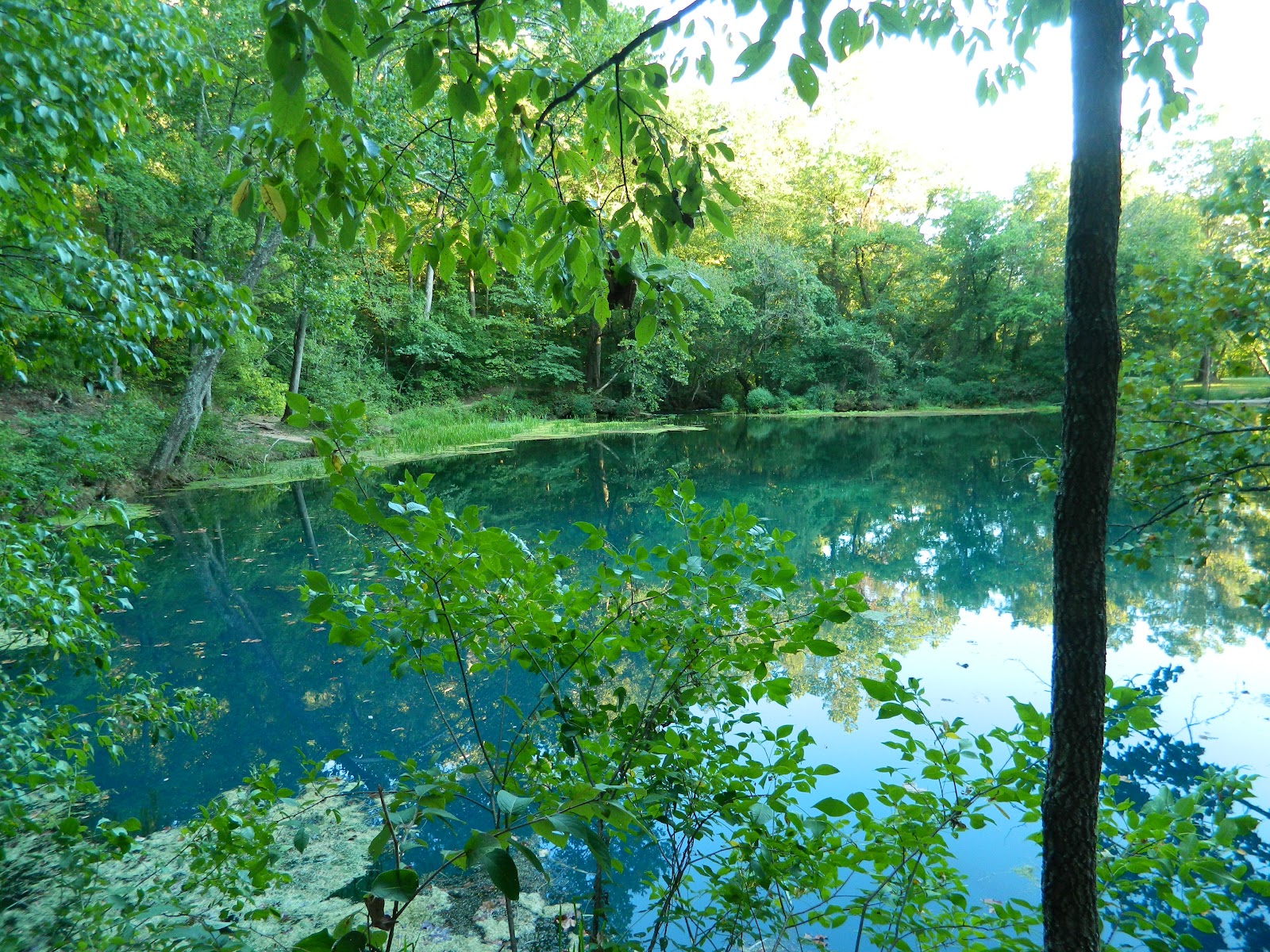 Climbin' Up The Mountain: Is one of these Missouri Springs the Waters ...