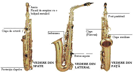 Cursuri Saxofon: Lectii saxofon - lectia 4 Părţi componente