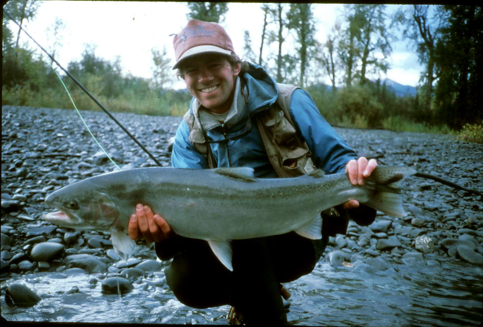 Brookside Hillbilly: Anadromous Fish Pictures