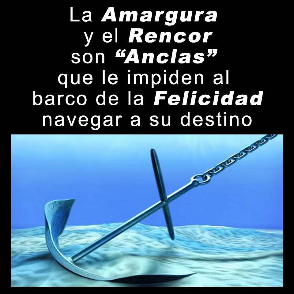 La Amargura y el Rencor. - Frases de vida y reflexión
