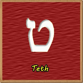 El Significado Místico de las Letras Hebreas - Tet - - Las Revelaciones ...