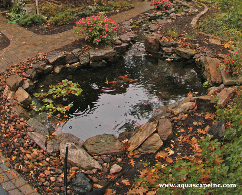 Aquascape Your Landscape: The Beauty of an Autumn Pond