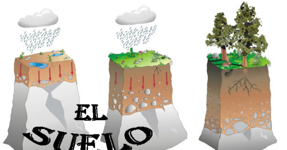 CAPITÁN EDUCACIÓN: 4º PRIMARIA - CIENCIAS SOCIALES: EL SUELO