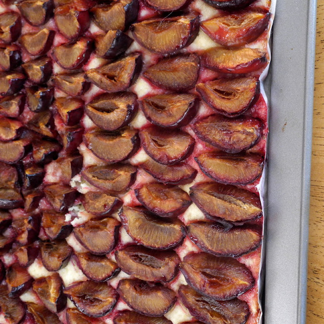 German Plum Cake (Zwetschgenkuchen)