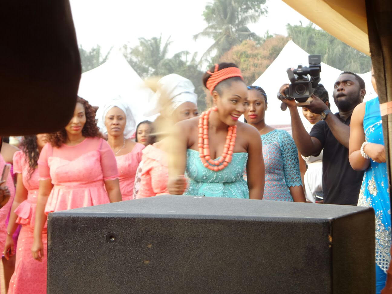 Photos from the traditional wedding of Mike Ukpabia and actress ...