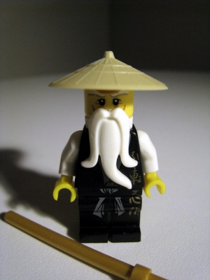 Ninjago Sensei Wu Costume