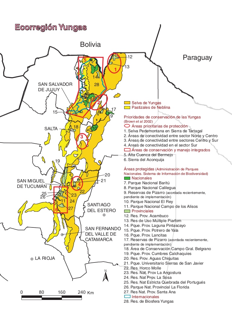 Argentina nativa: Selva de Yungas
