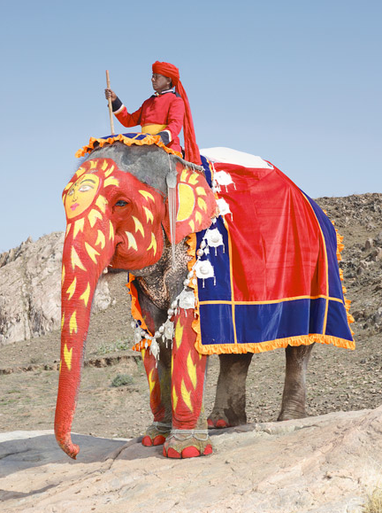 Enchanted Revelries: The Painted Elephants of Jaipur