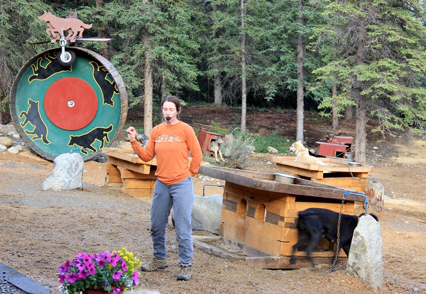 Joy of Discovery: Jeff King's Husky Homestead, part II
