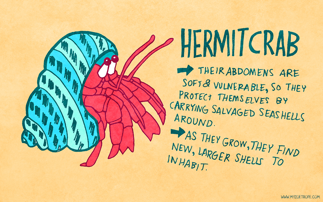 My Zoetrope: 120: Hermit Crab