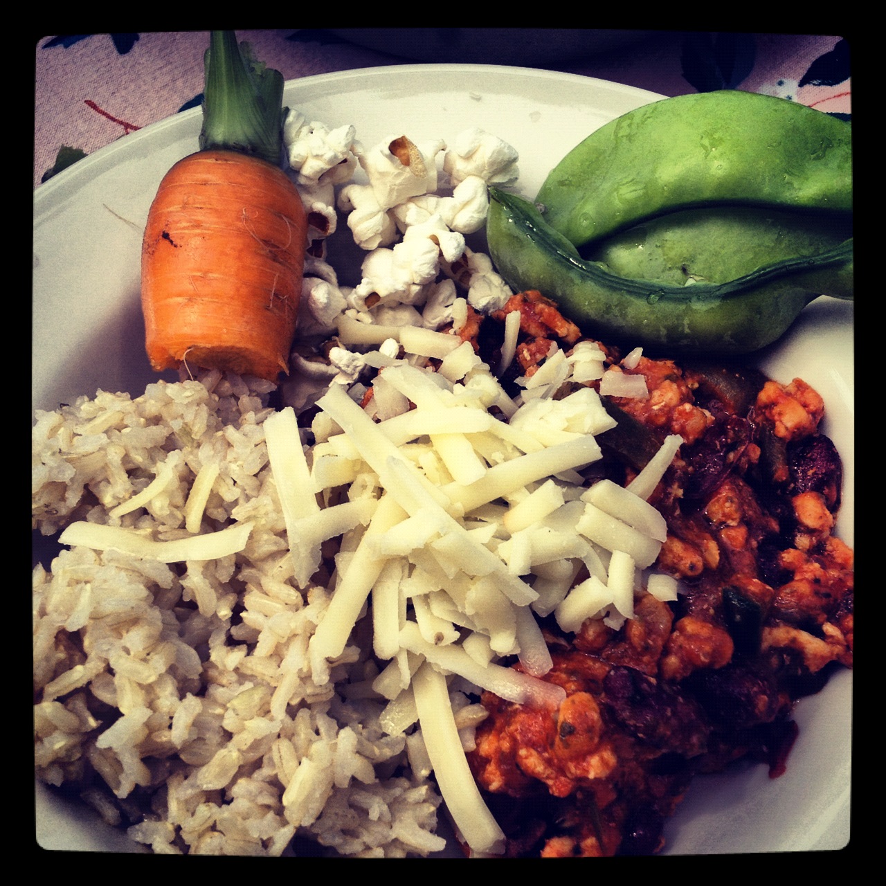 Have You Ever Picked A Carrot?: Wild Maine Blueberries: The King of Fruits