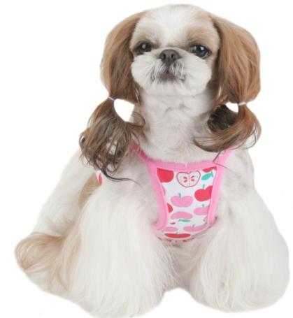 PERRITOS CON ROPAS ~ LAS MEJORES FOTOGRAFÍAS