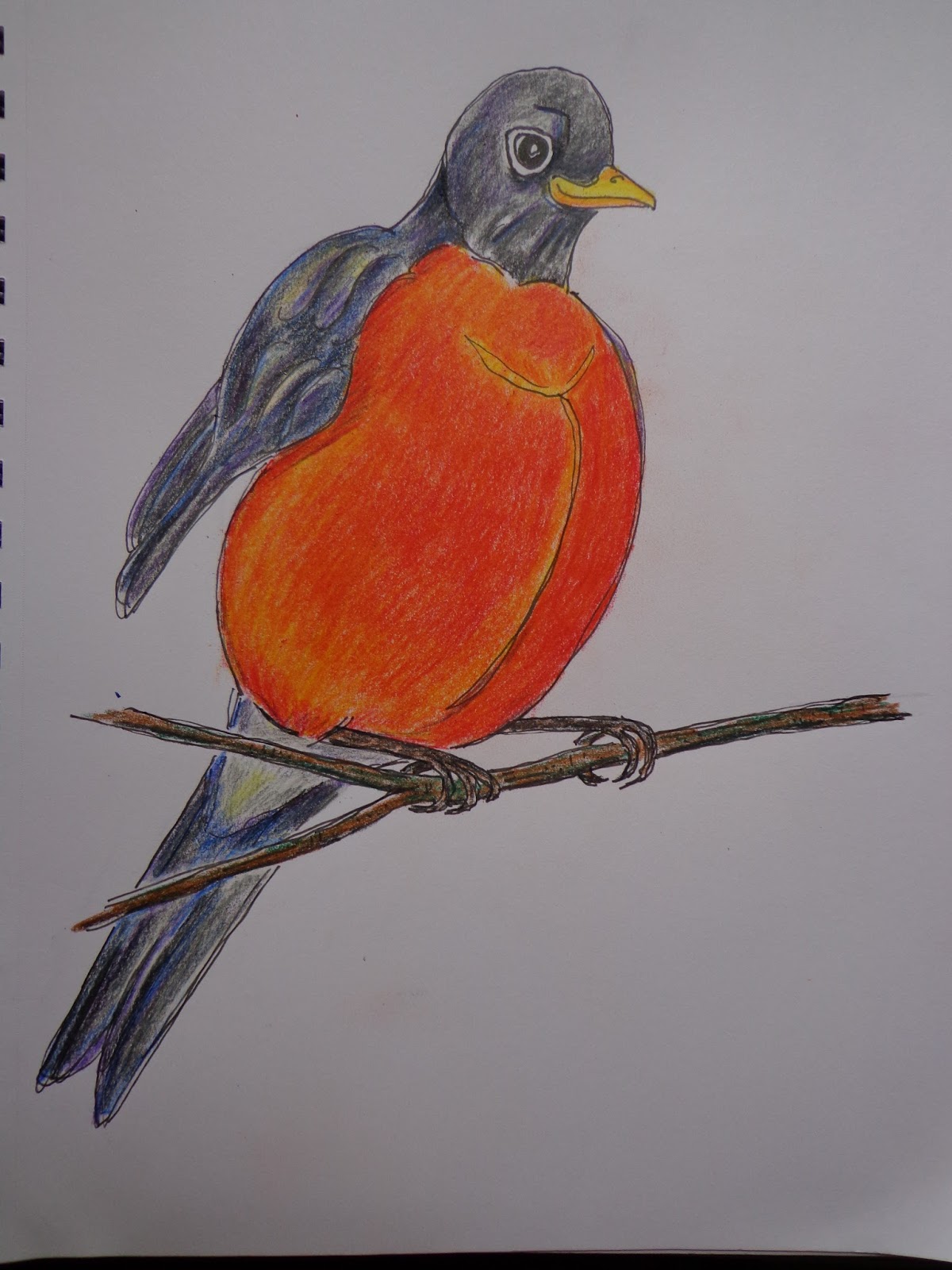 Plays With Pencils: Breakfast Birds: Funny Feathers: Happy Fat Robin