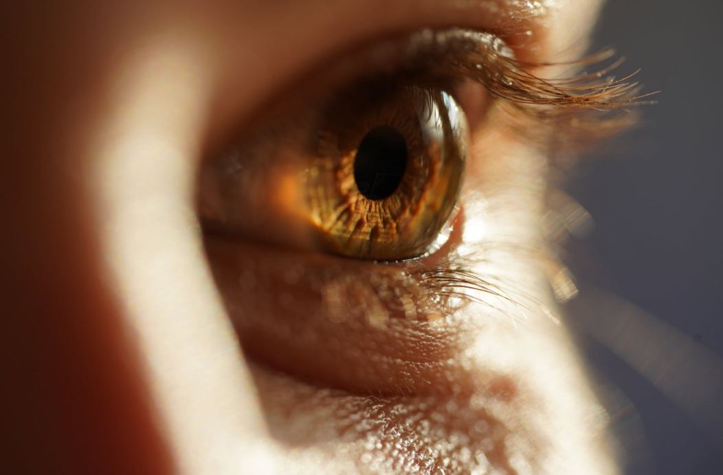 Beatriz Mayoral: Una relación crítica entre optometristas y oftalmólogos.