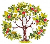 Illusion: A Fruitful Tree - Eternal journey of me and You!