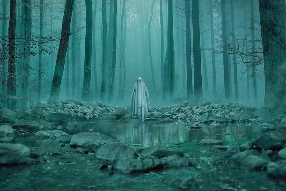 Cromofora La ( Paloma) Contemporary Online Art Gallery: CHRISTIAN HOPKINS