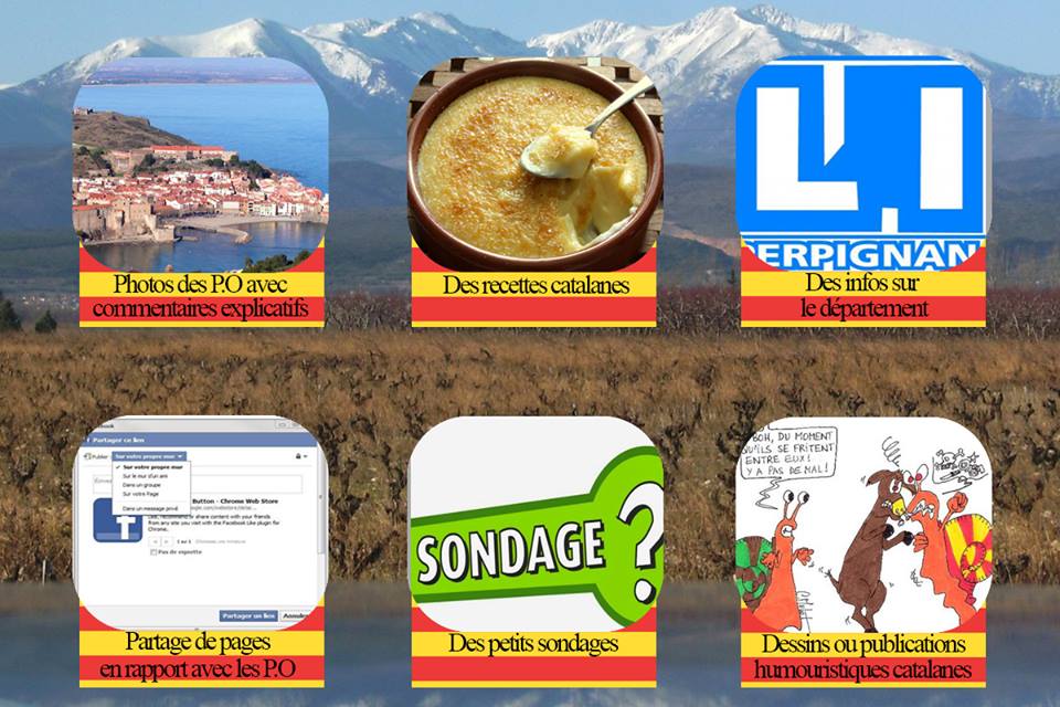 Ma cuisine facile: PA D'OUS Flan Catalan