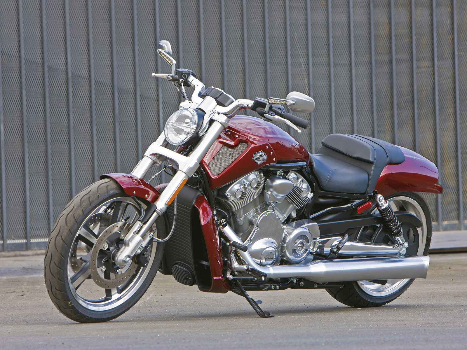 Black Rider: Harley V-Rod Muscle VRSCF