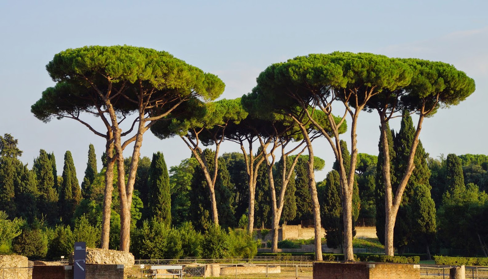 My Mission in Rome: The Pines of Rome