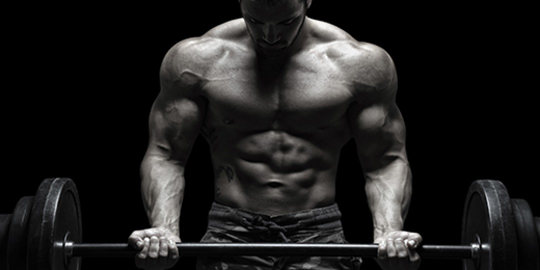 The Three Fundamentals of Muscle Gain - Gym-Guys.com