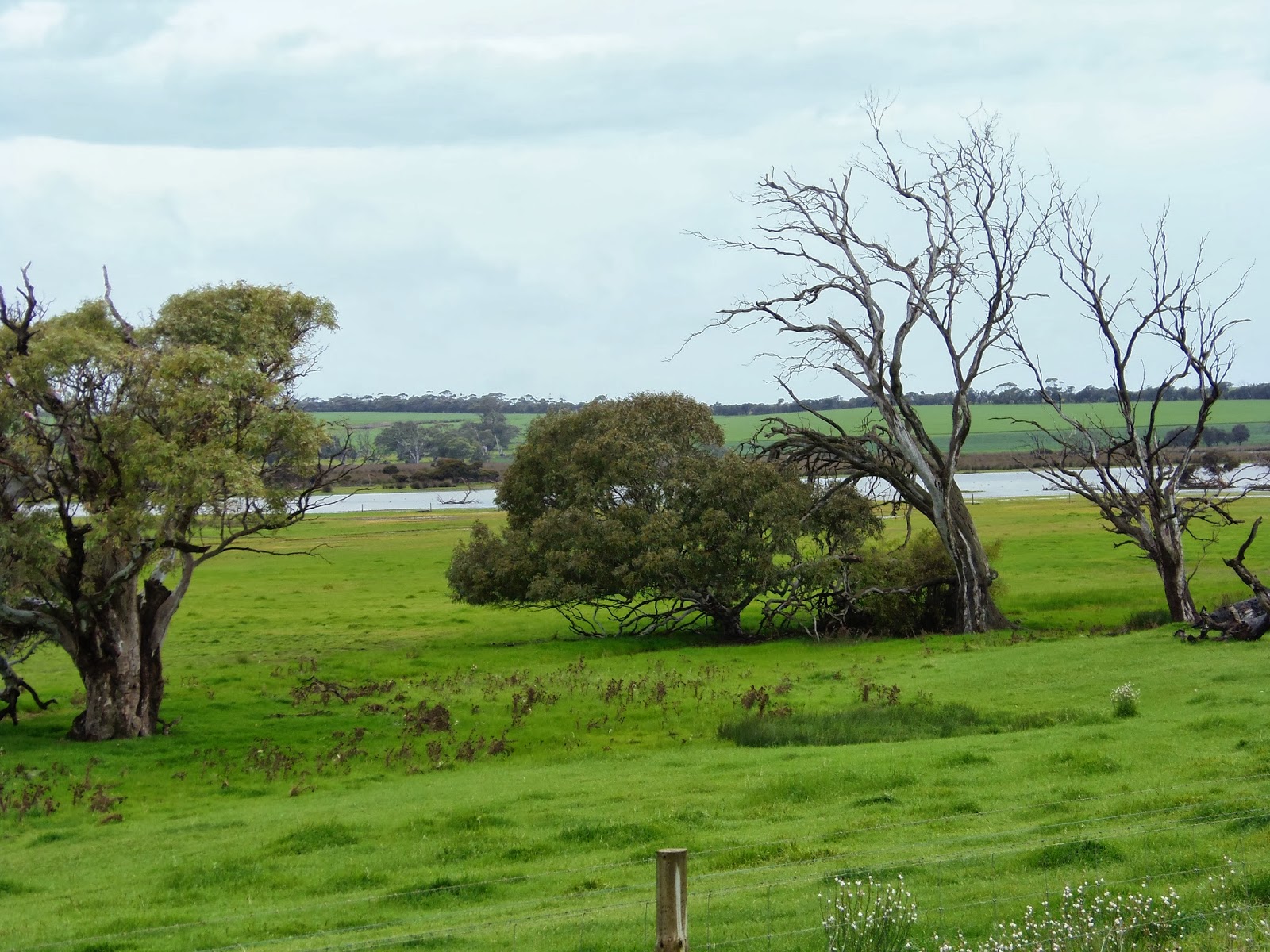 Solo Steve On The Road: SHERINGA BEACH to MT DUTTON BAY SA