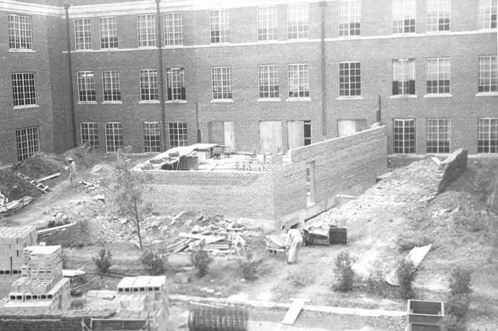 Library Online Lounge - Tarleton Libraries: Tarleton Thursdays: Did You ...