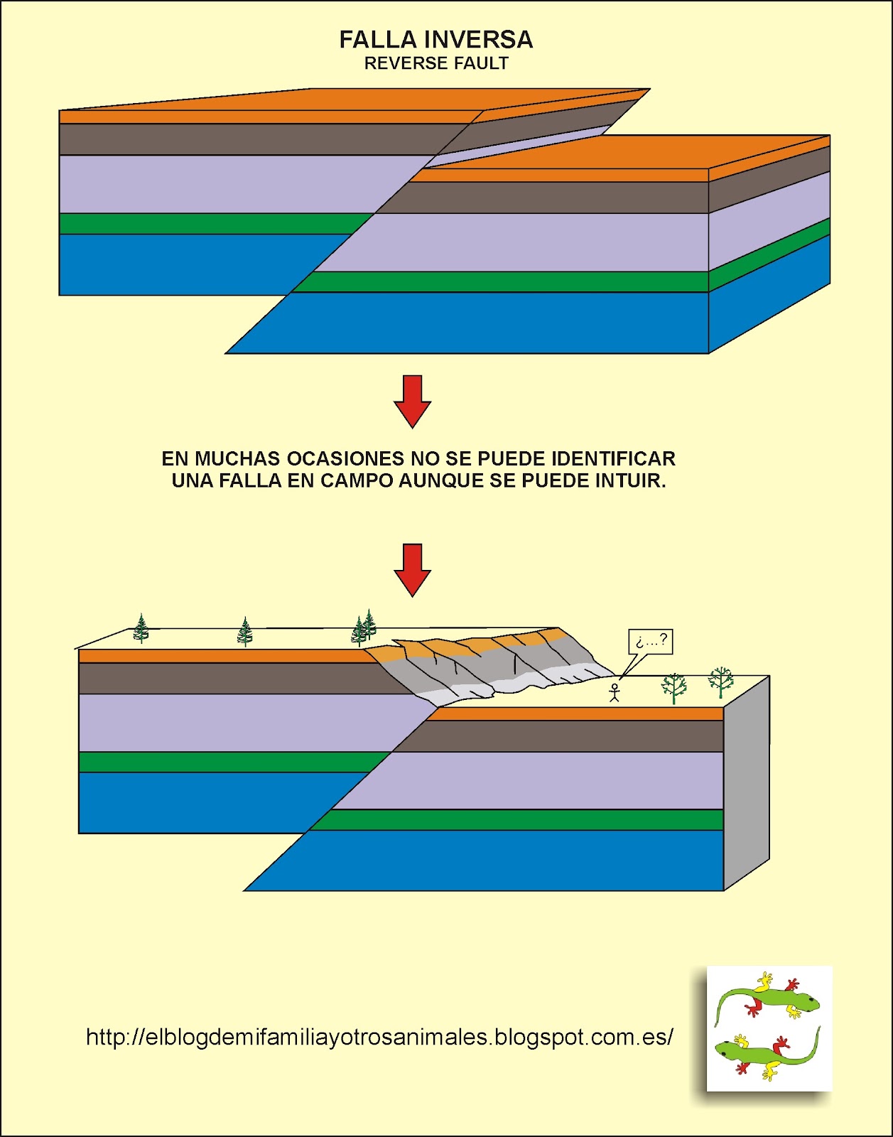 Mi familia y otros animales: Fallas y fracturas (Faults and fractures ...