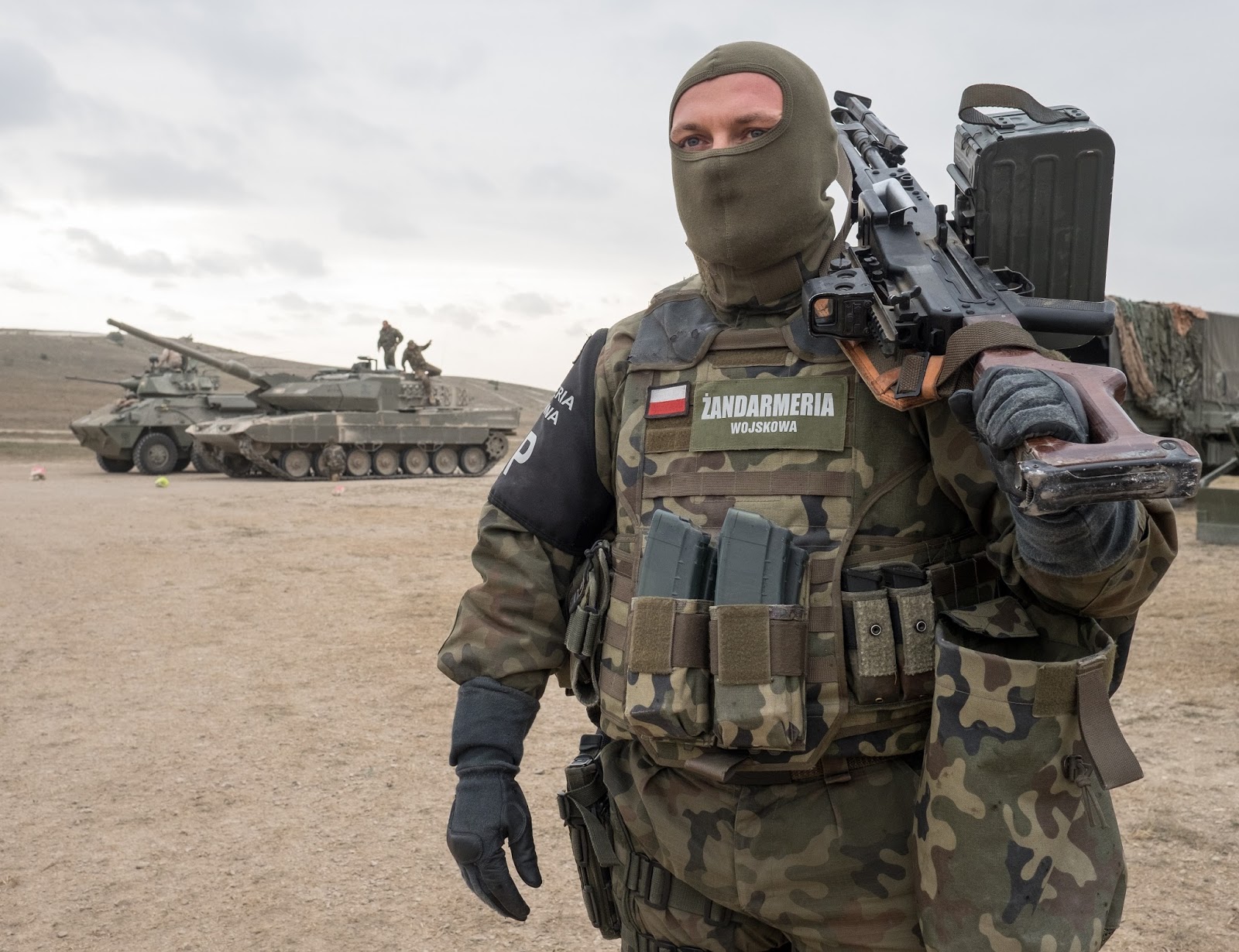 Blog Antona: Polish MP