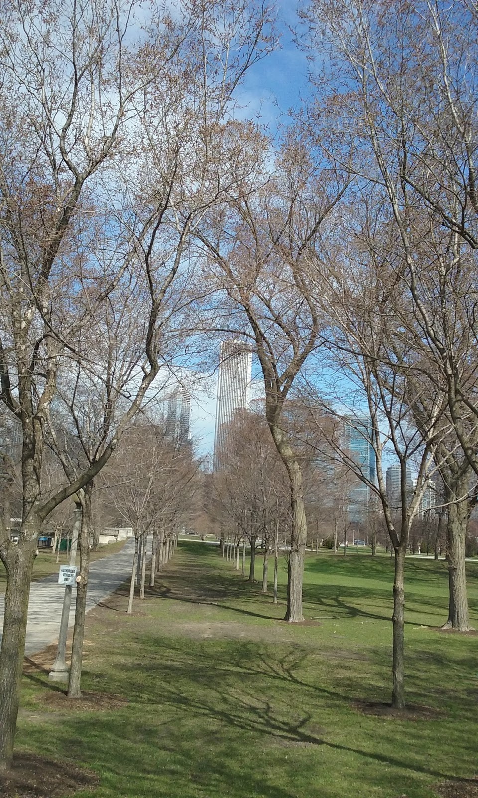 Reading, Reporting, and Reflecting: Chicago Trees in March