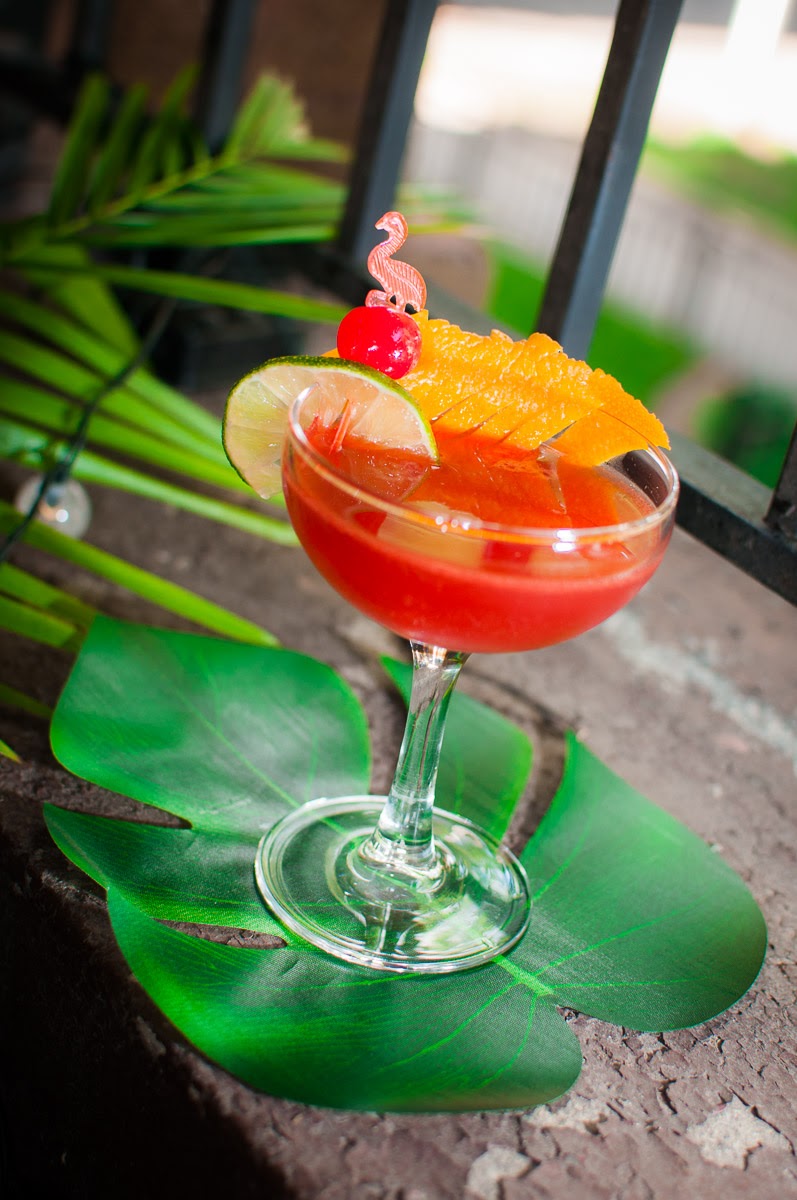 Garnishes The Size of Your Head: An Exotic Cocktail Journey: Cocktail ...