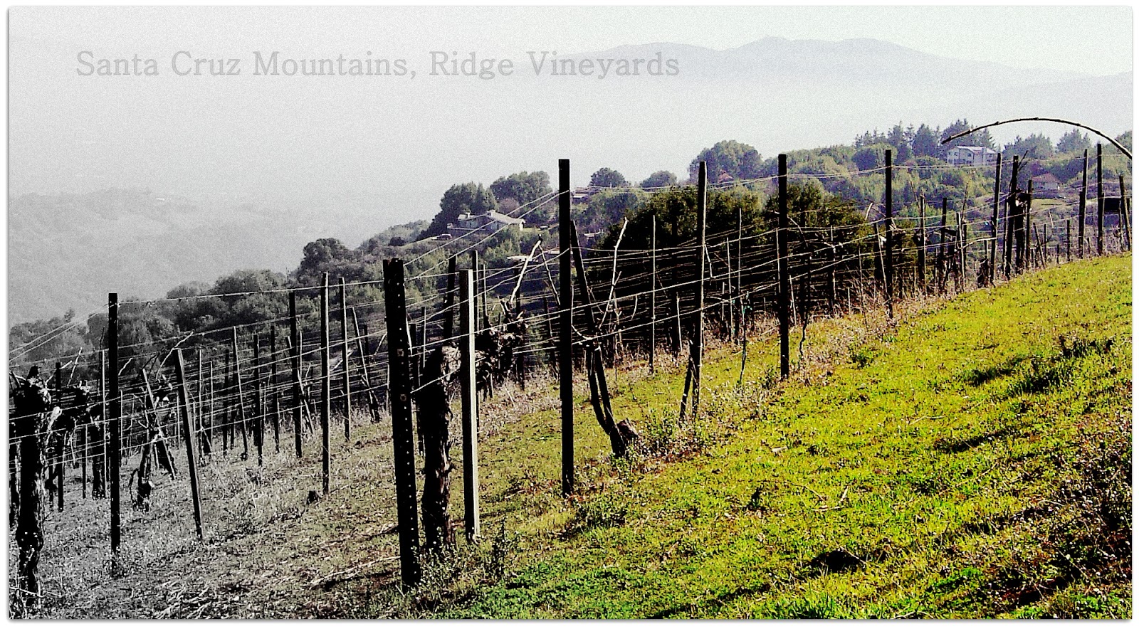 The U.S. Uncorked: Top 10 Wine-Travel Destinations [Part Two]