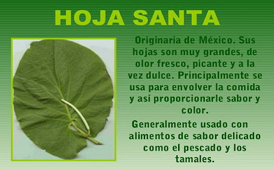 Sabes Para que Sirve la Hierba Santa (Acuyo) ? – Te Sorprenderas de sus ...