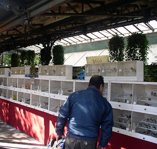 From Paris with Love: The Paris Bird Market