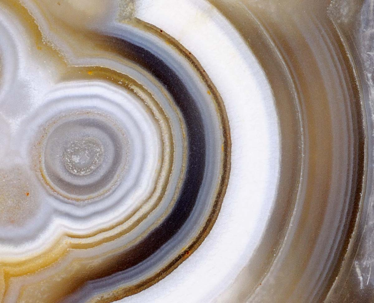 The Agatelady: Adventures and Events: Agate Close Up Pictures